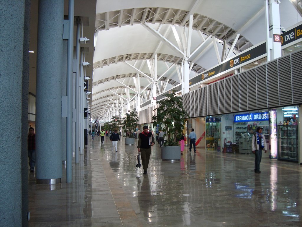 AICM - Aeropuerto Internacional de la Ciudad de México (MEX)